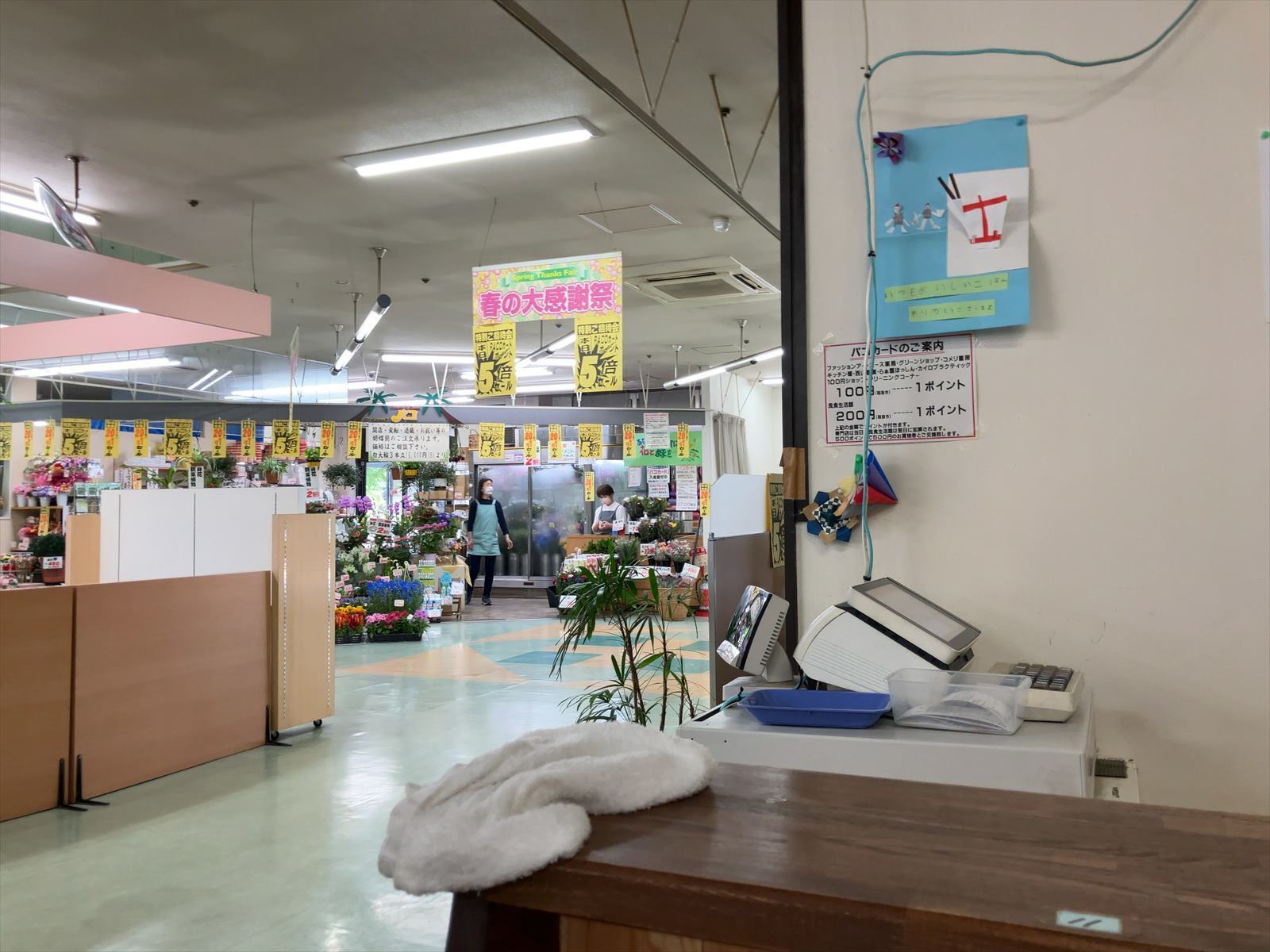 ほっしん ＠新潟県燕市 とはいえ 旧分水町: 化石部の日々