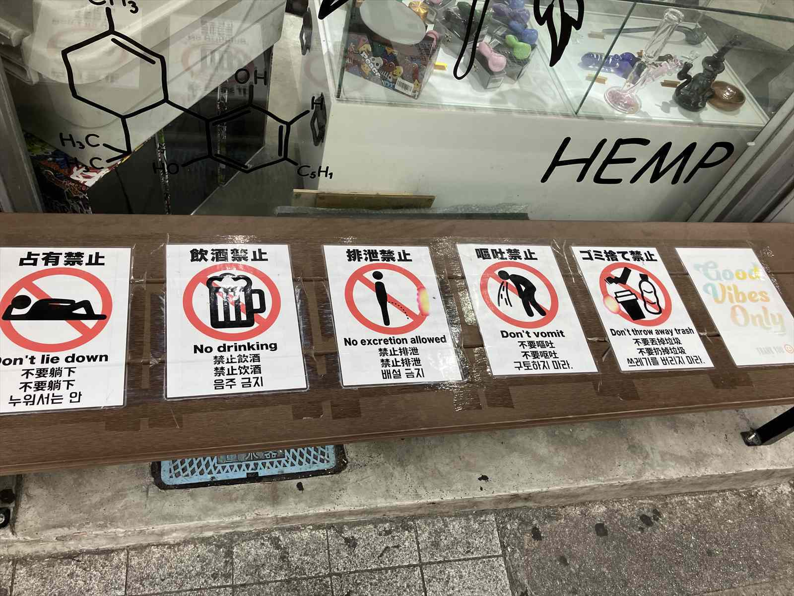 時折 沖縄旅行記 : 化石部の日々