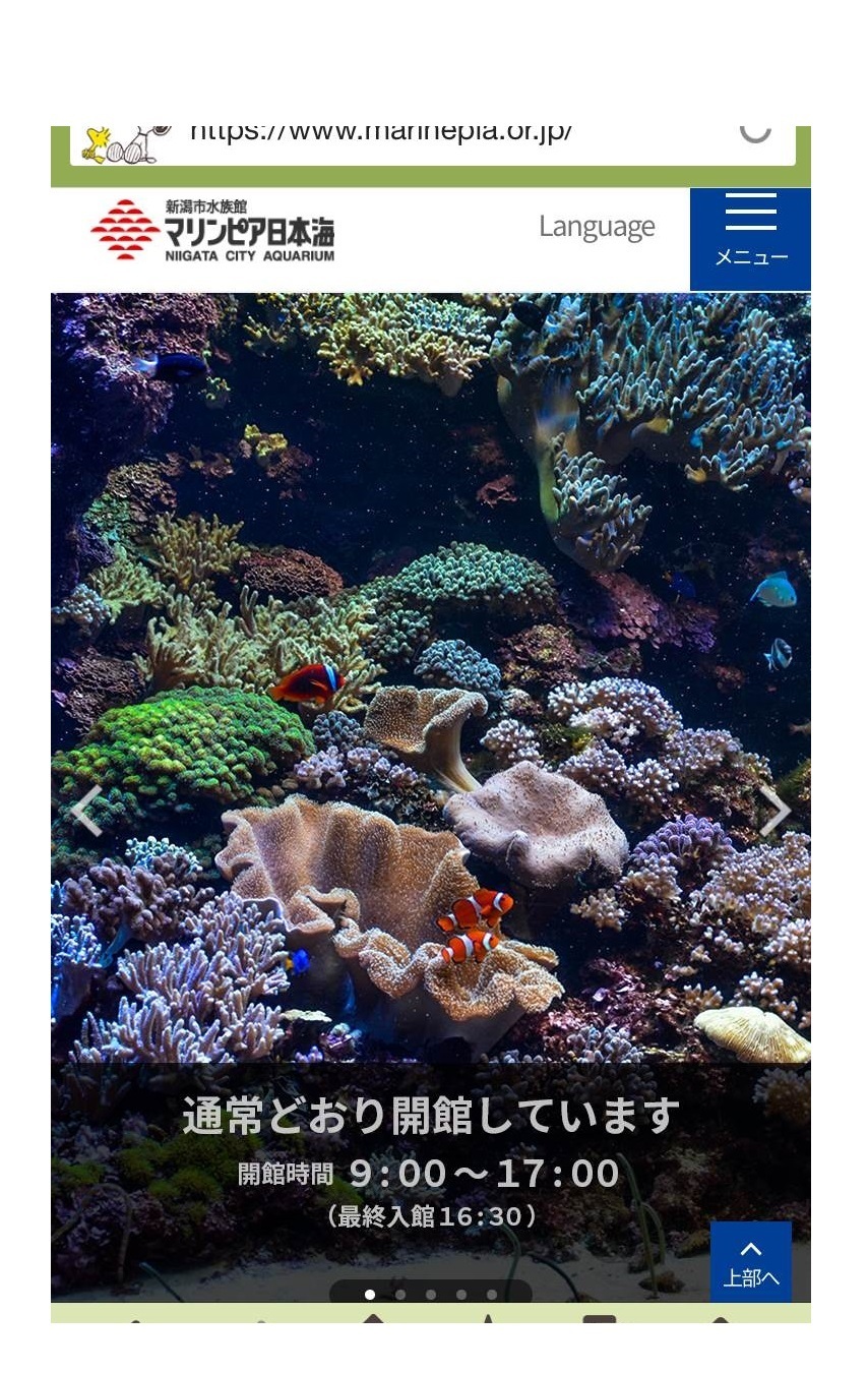 Subscription ＠マリンピア日本海: 化石部の日々