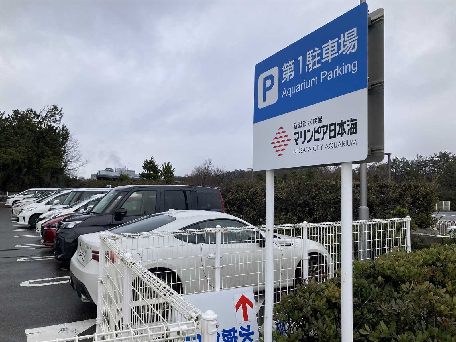 Subscription ＠マリンピア日本海: 化石部の日々