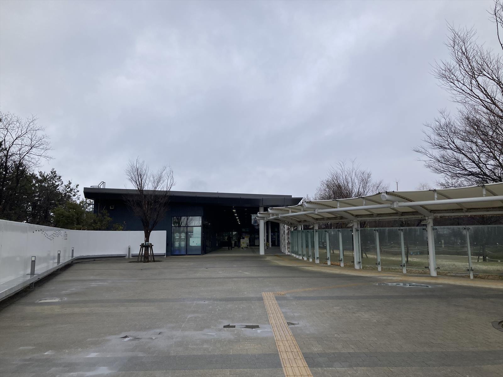 Subscription ＠マリンピア日本海: 化石部の日々