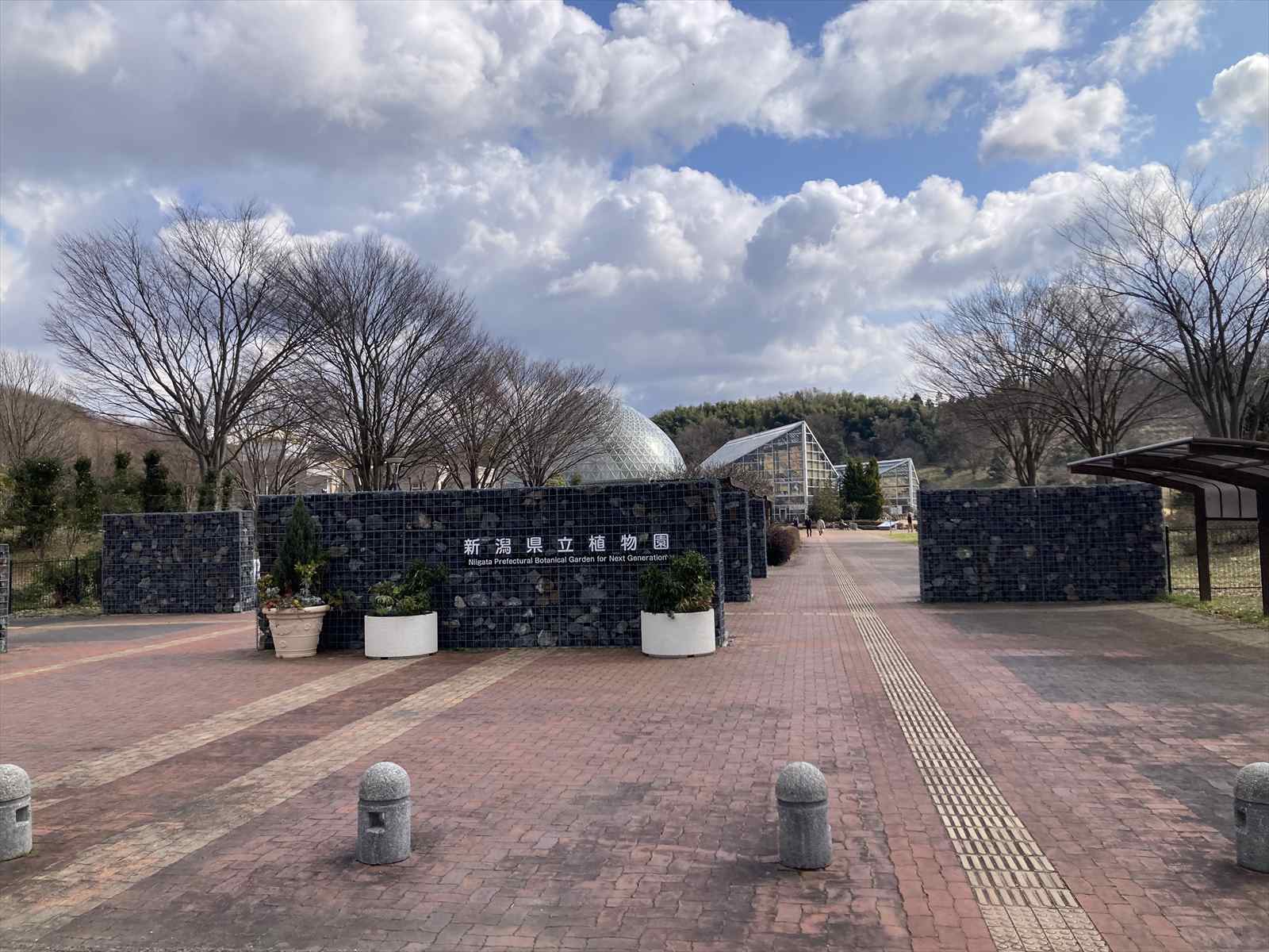 県立植物園 ＠令和6年2月のある日: 化石部の日々